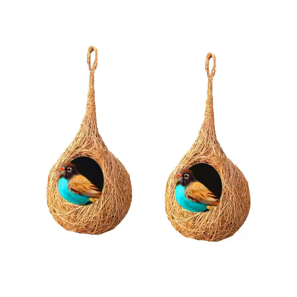 Health - Tryambakam India